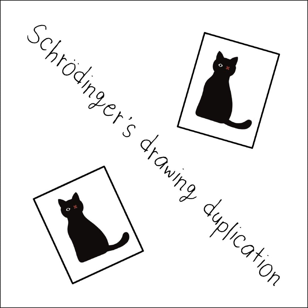 Schrödinger's drawing duplication – dannyurbanus.com
